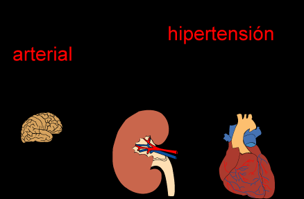 hta.png :: Hipertensión arterial